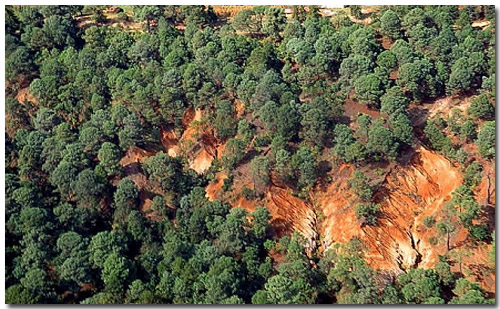 Monitoring Critical Zones in the Forests - parkswatch